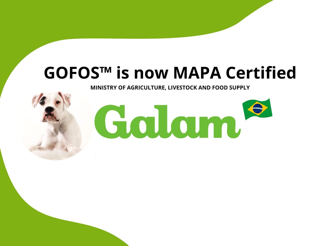 Knowledge Center - Galam